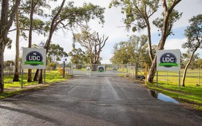 The Midfield Group | Premium Australian Beef & Lamb